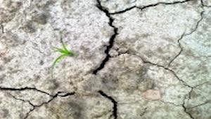 Home [www.arpa.marche.it]